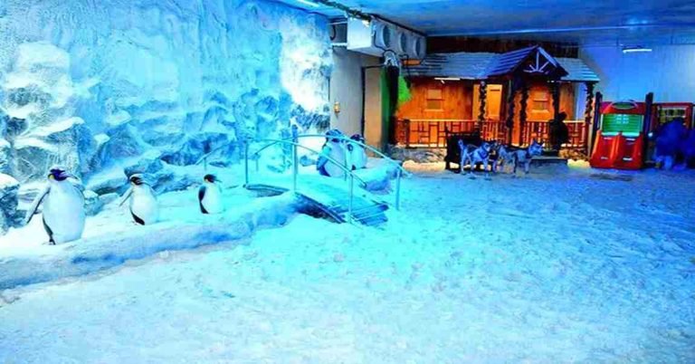 10 Best Places to Visit in Noida | Best Tourist Places in July 2024
