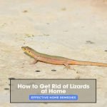 Best Thing To Do In Dwarka Delhi | Top Places to Visit in Dwarka